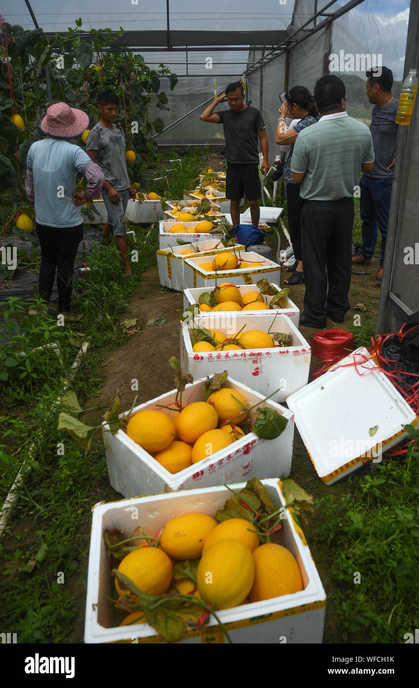 Qinzhou, China's Guangxi Zhuang Autonomous Region. 30th Aug, 2019 ...