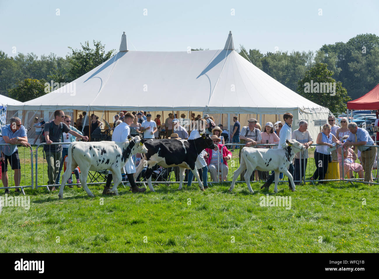 Hope Show on the August bank holiday 2019 in Derbyshire, England. Young ...