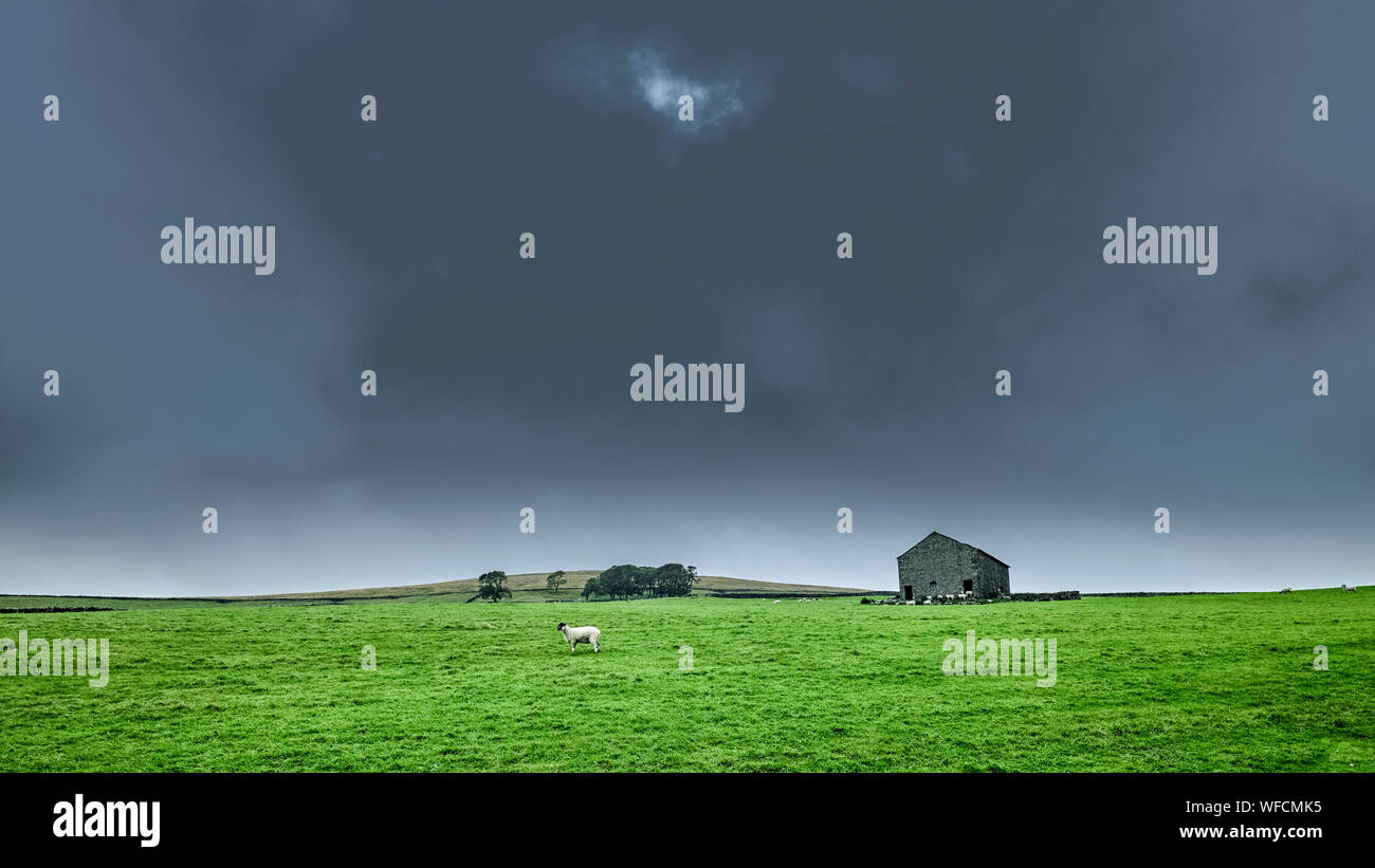 Malham, UK - Aug 16, 2019: Views around Malham Moor Stock Photo - Alamy