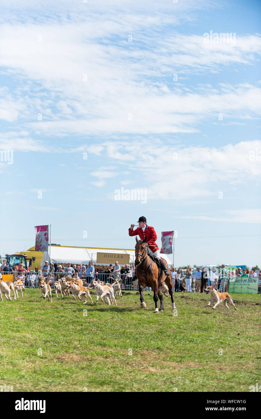 Huntsman and hounds at a country show Stock Photo - Alamy