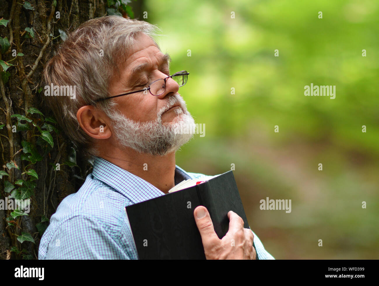 senior man reflects in nature with a book Stock Photo - Alamy