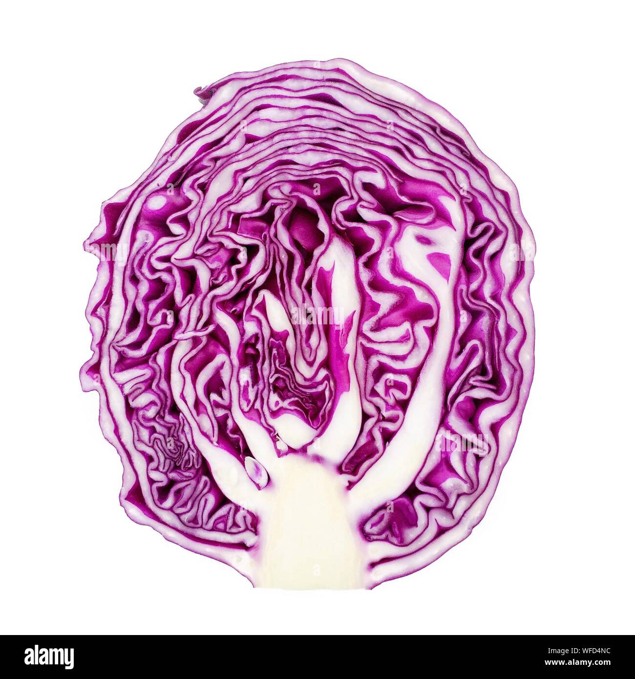 Cross Section Close Up Red Cabbage High Resolution Stock Photography ...