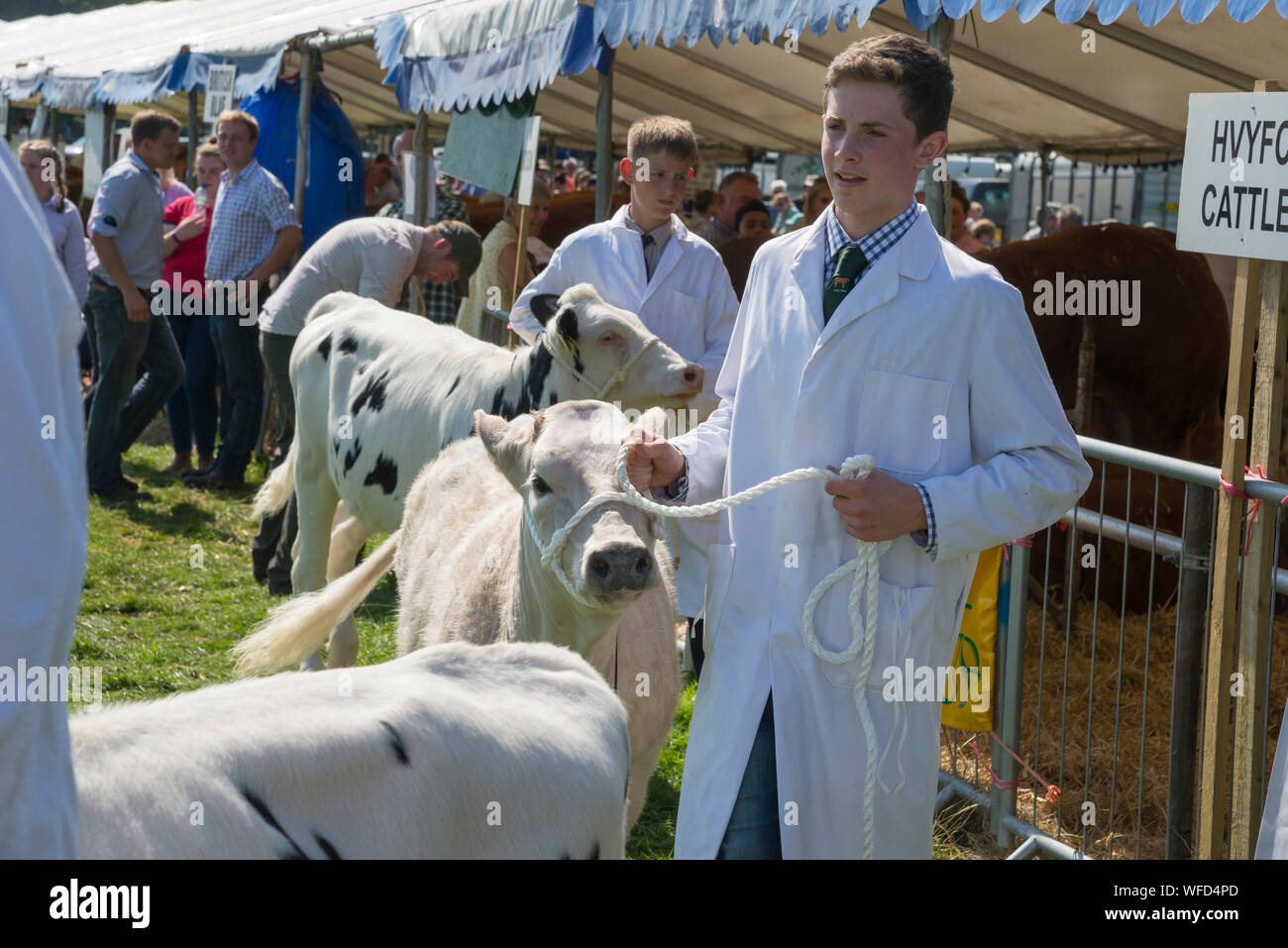 Hope Show on the August bank holiday 2019 in Derbyshire, England. Young ...