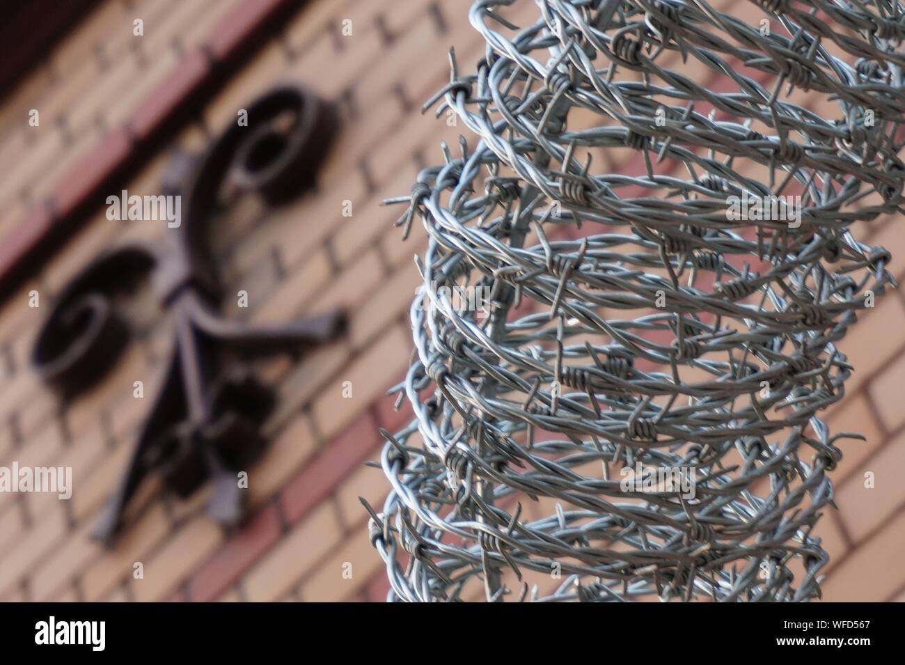 Tangled barbed wire hi-res stock photography and images - Alamy