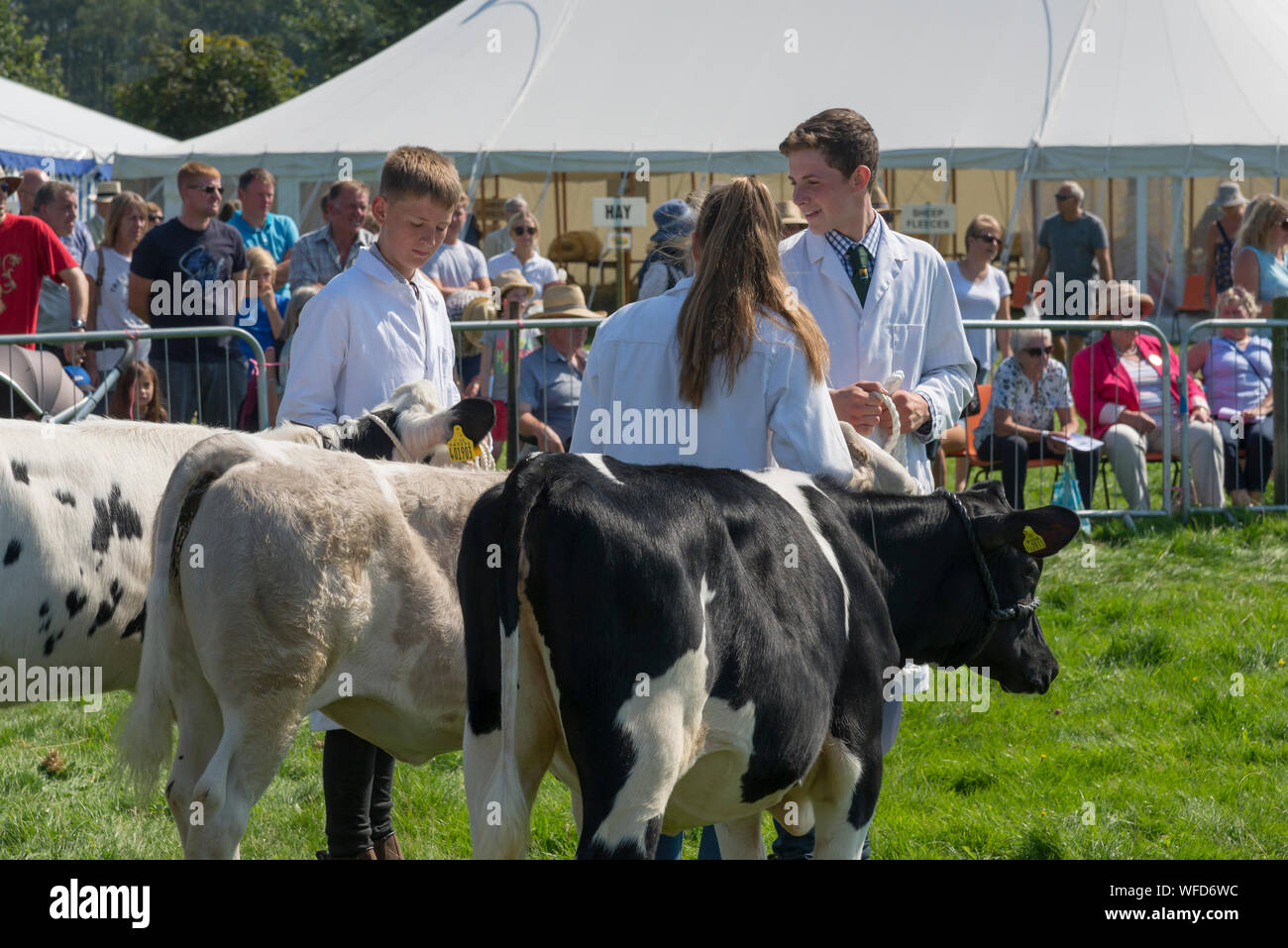 Hope Show on the August bank holiday 2019 in Derbyshire, England. Young ...