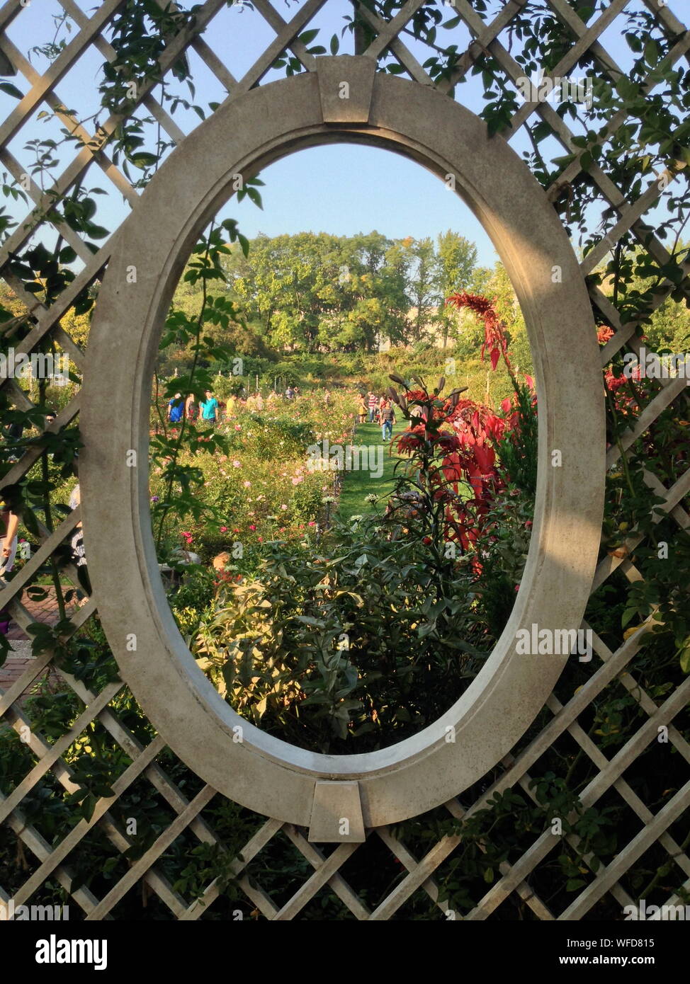 Garden seen through window hi-res stock photography and images - Alamy