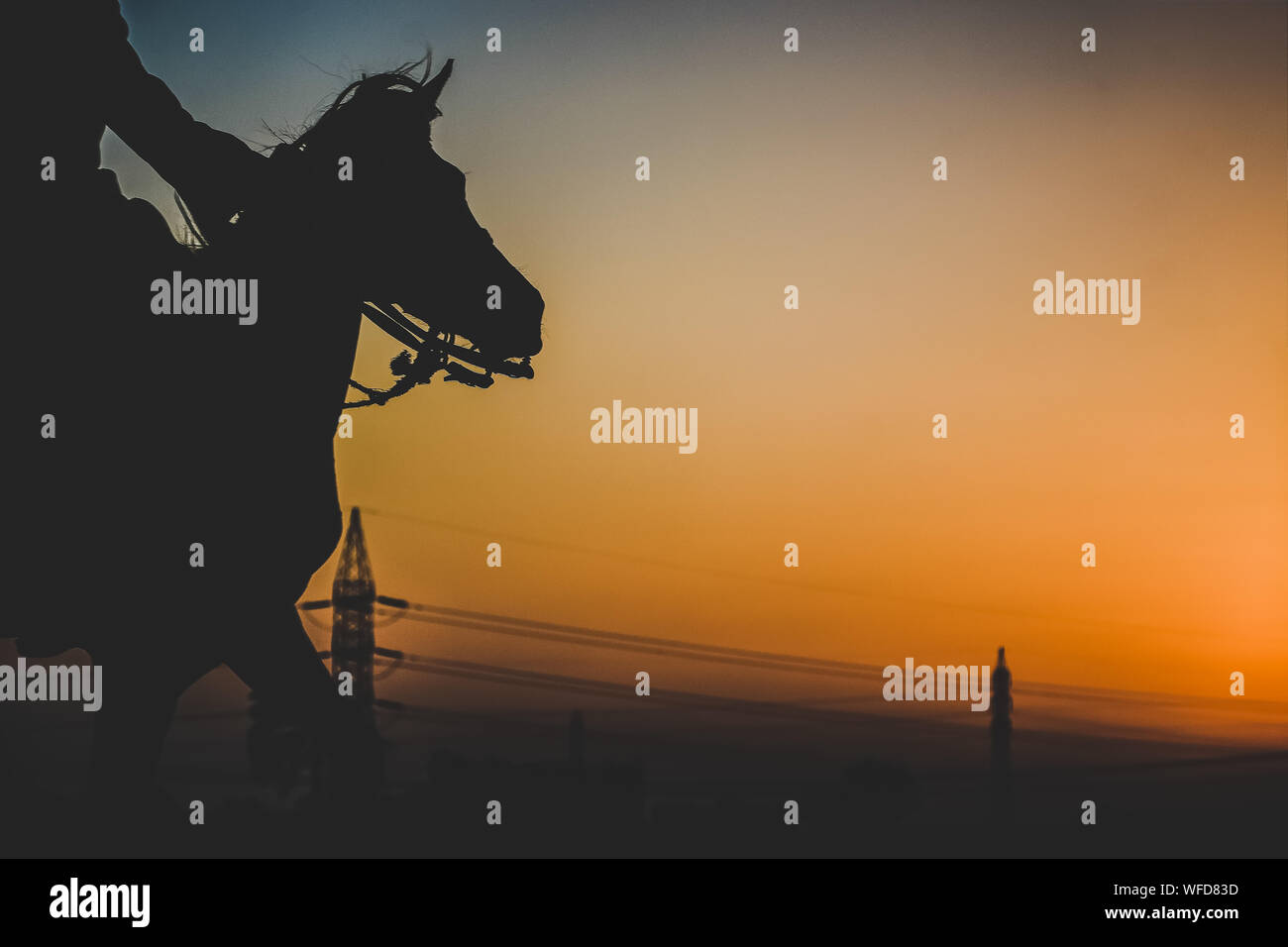 Silhouette man horse against sunset hi-res stock photography and images ...