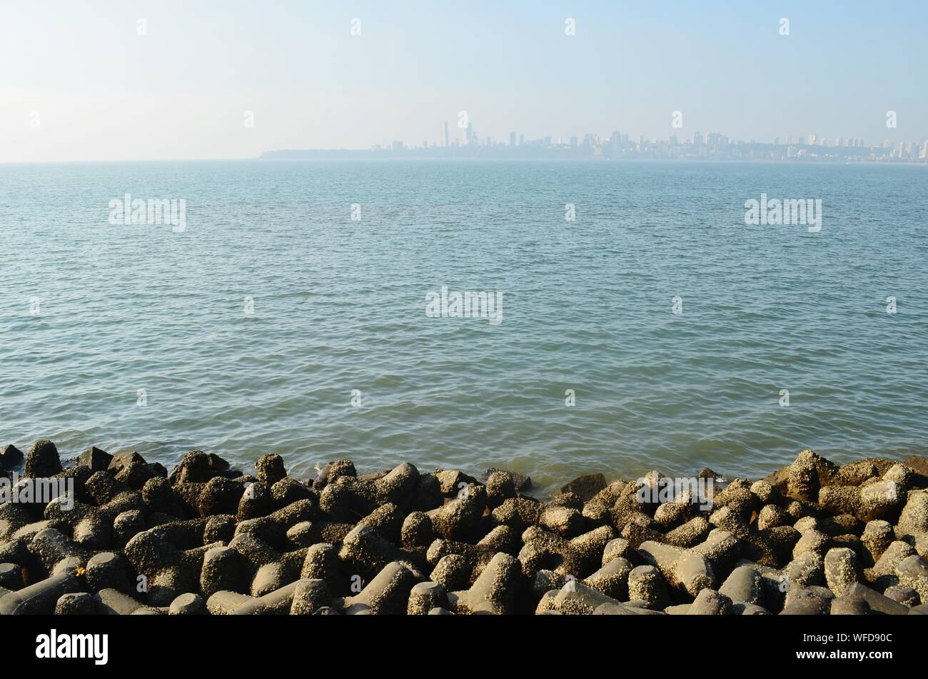 Tetrapod Protection High Resolution Stock Photography and Images - Alamy