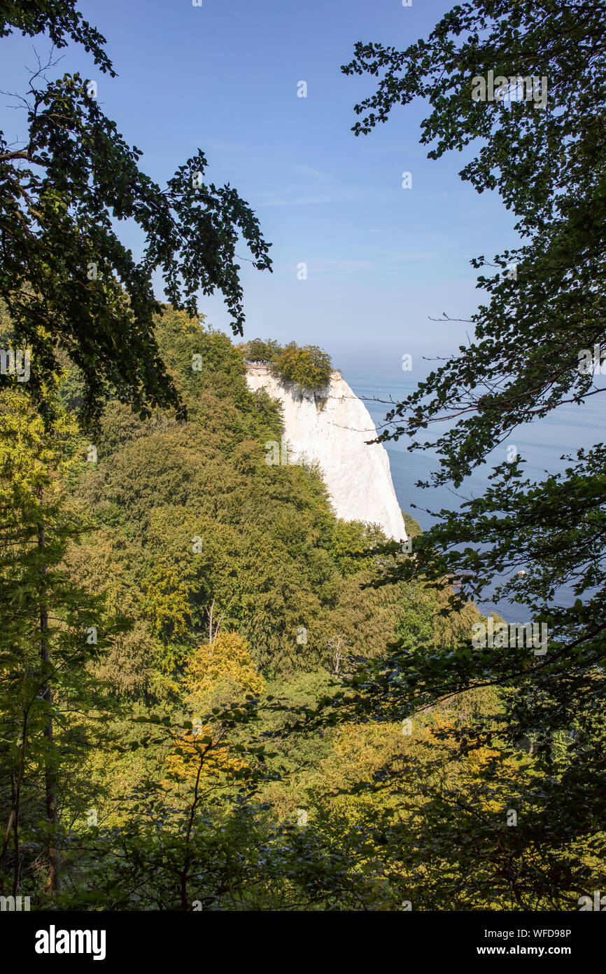 Chalk cliffs on the island Rugen (Rugia). The German Baltic Sea coast ...