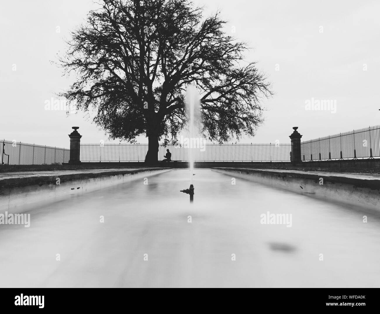 Fountain tree hi-res stock photography and images - Alamy