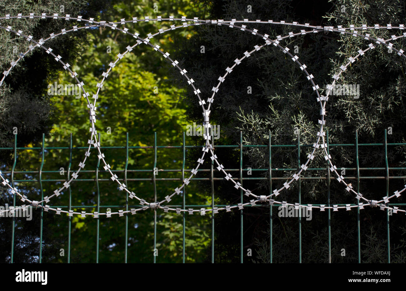 barbed wire mesh for safety Stock Photo - Alamy