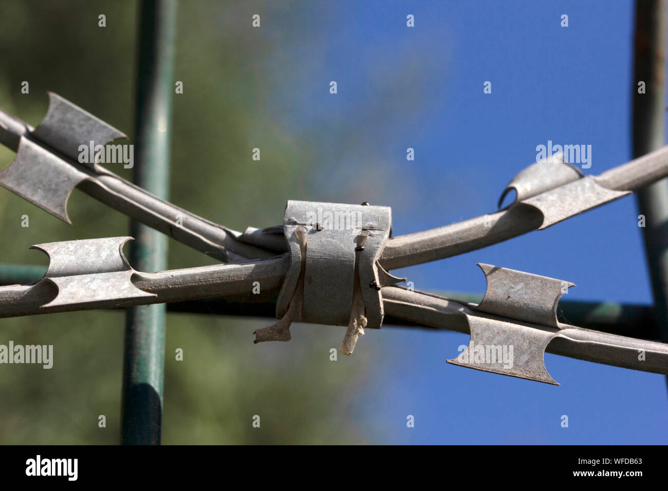 barbed wire mesh for safety Stock Photo - Alamy