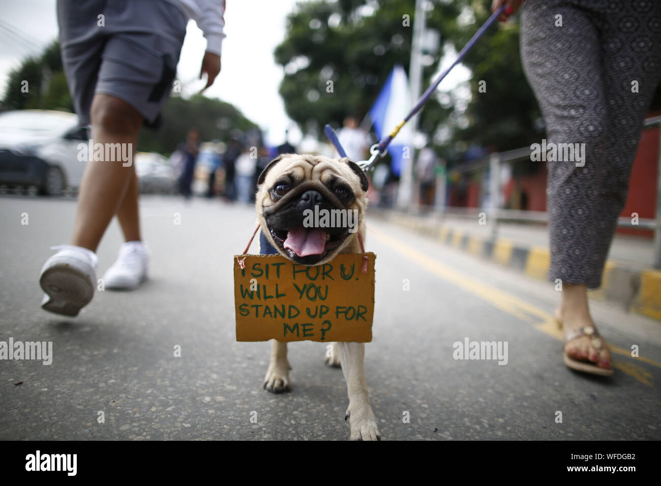 Neck placard hi-res stock photography and images - Alamy