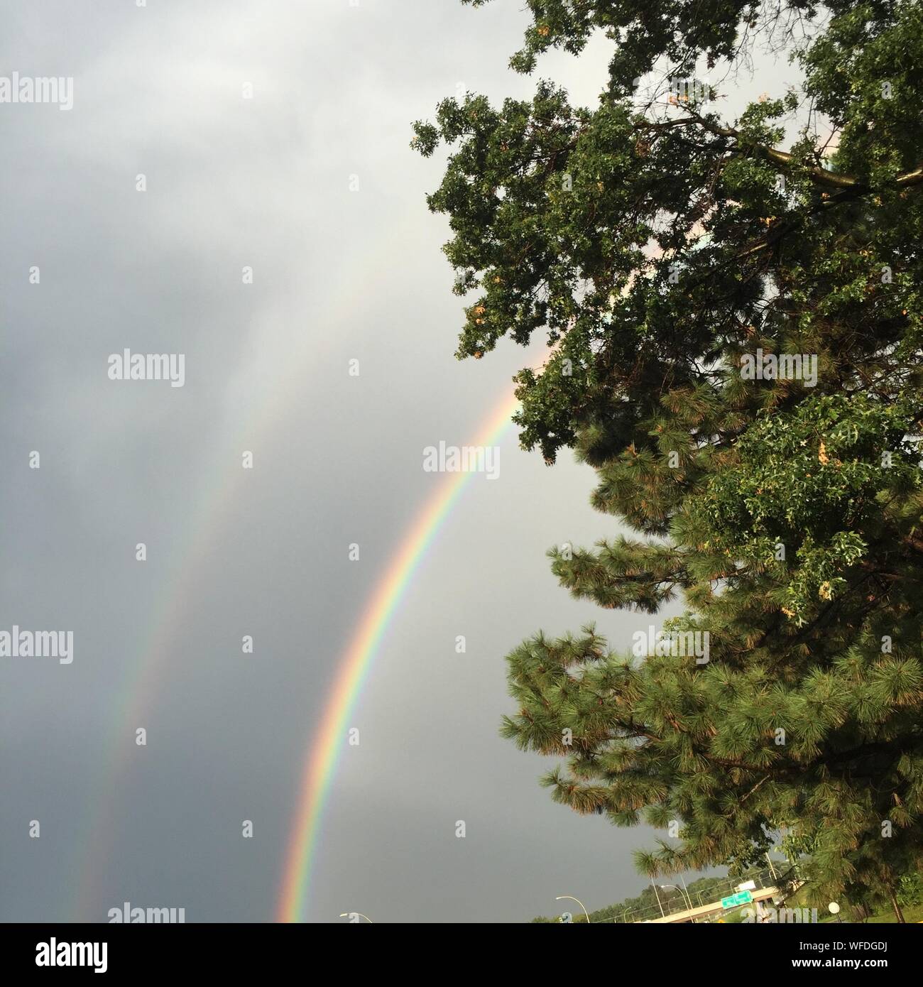 Rainbow Over Trees Stock Photo - Alamy