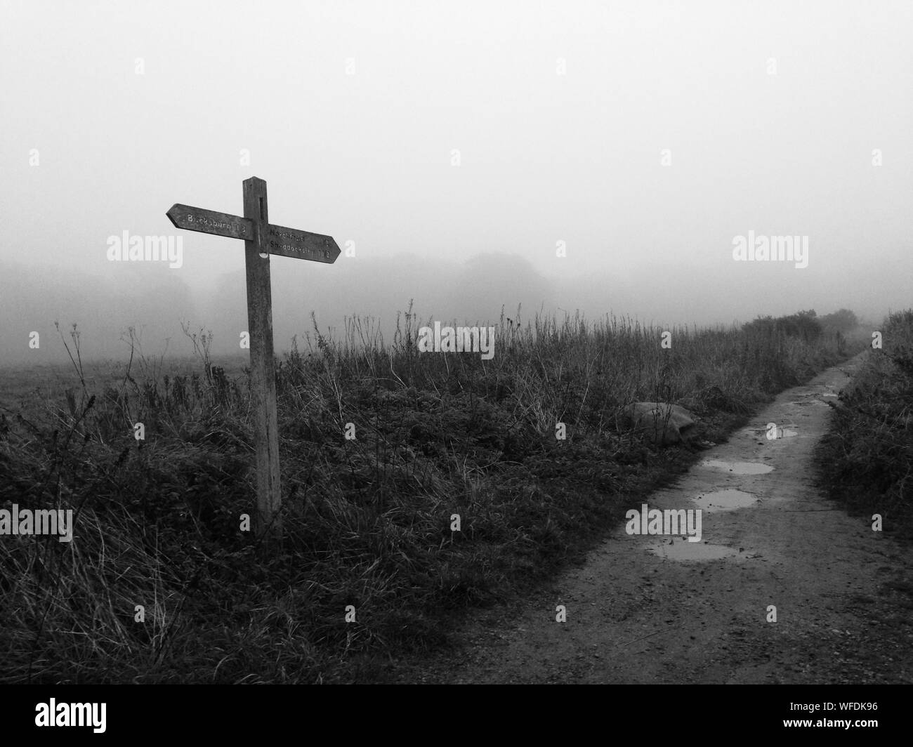 Field footpath hi-res stock photography and images - Alamy