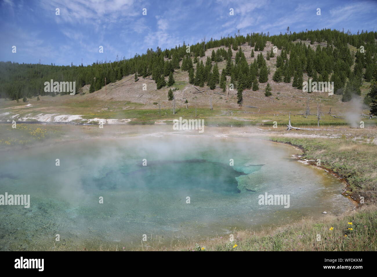 in USA inside the yellowstone national park the brauty of amazing ...