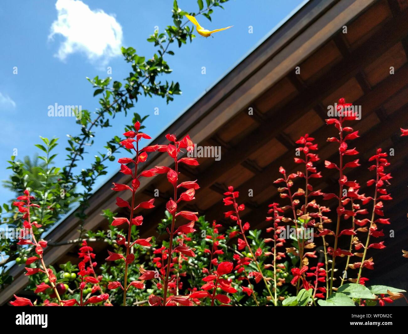 Low res hi-res stock photography and images - Alamy