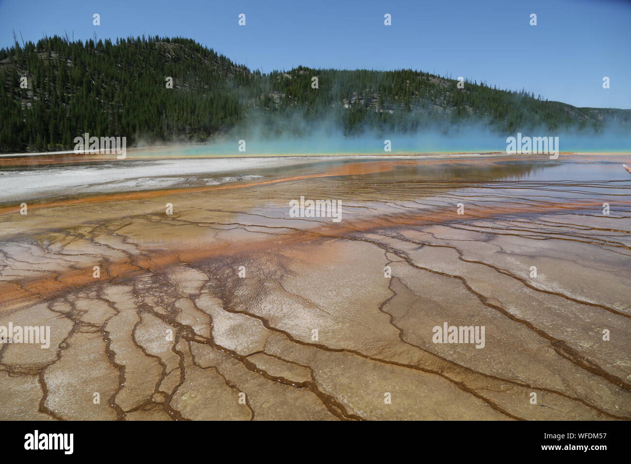 in USA inside the yellowstone national park the brauty of amazing ...