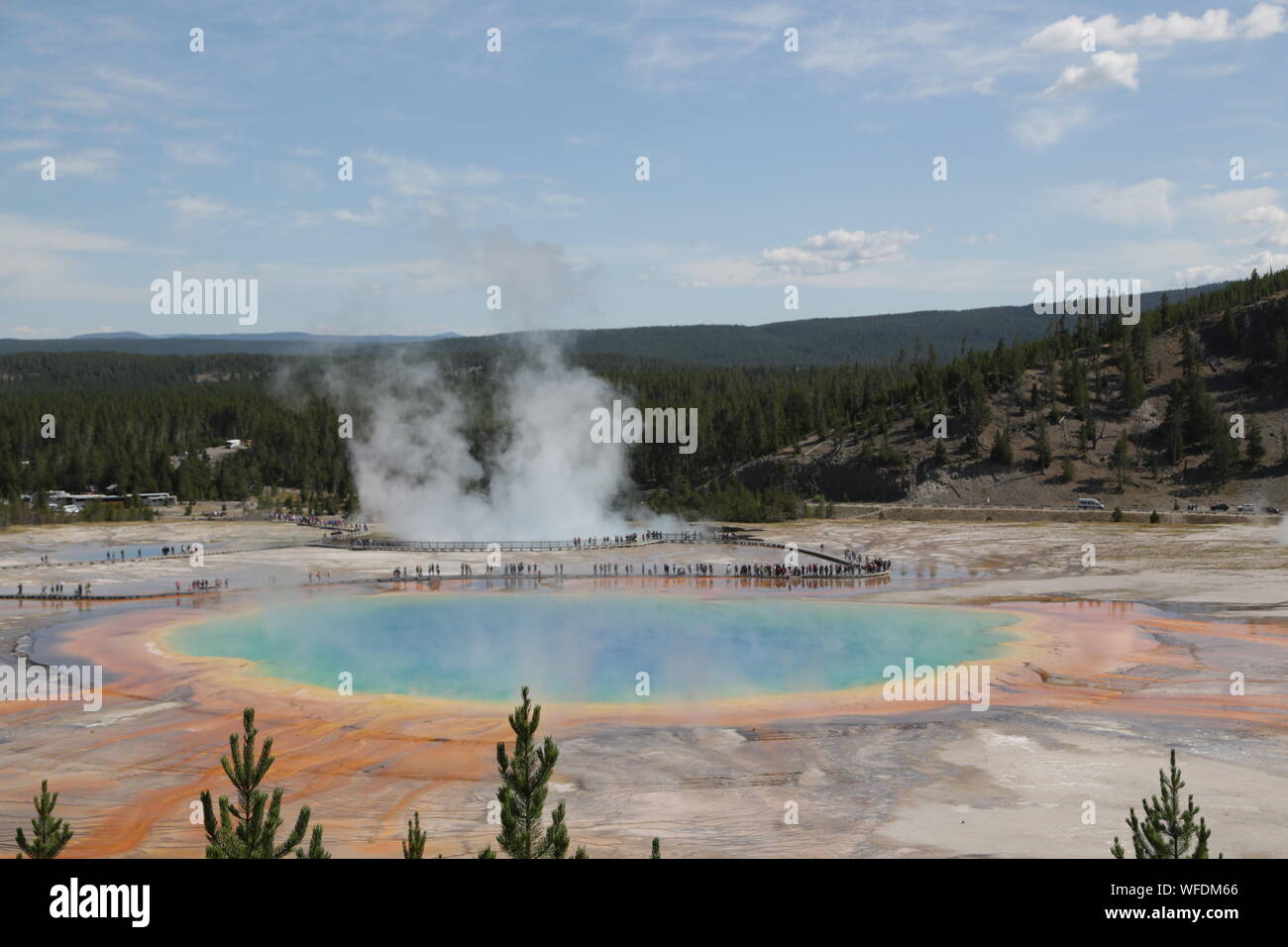 in USA inside the yellowstone national park the brauty of amazing ...