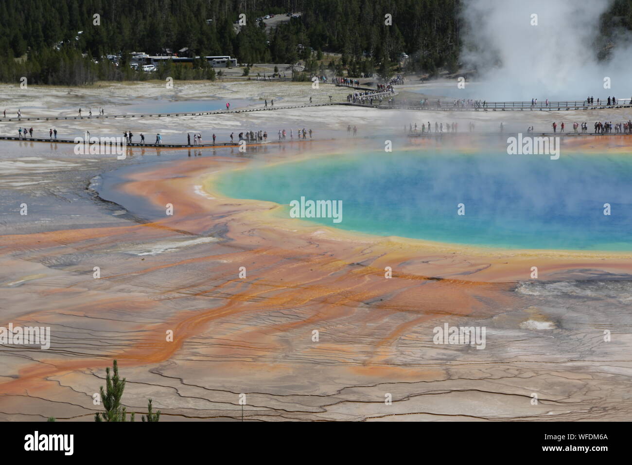 in USA inside the yellowstone national park the brauty of amazing ...