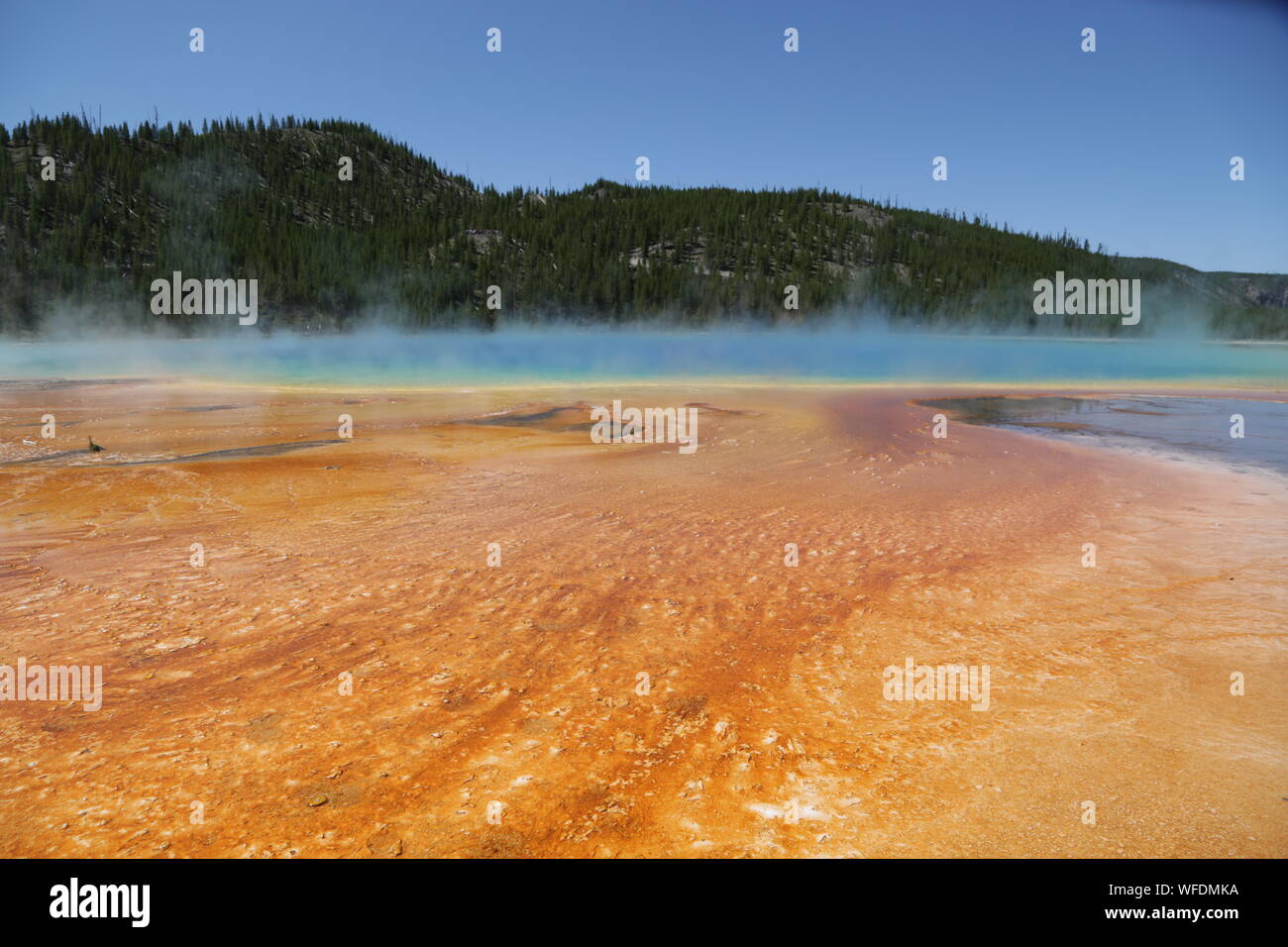 in USA inside the yellowstone national park the brauty of amazing ...