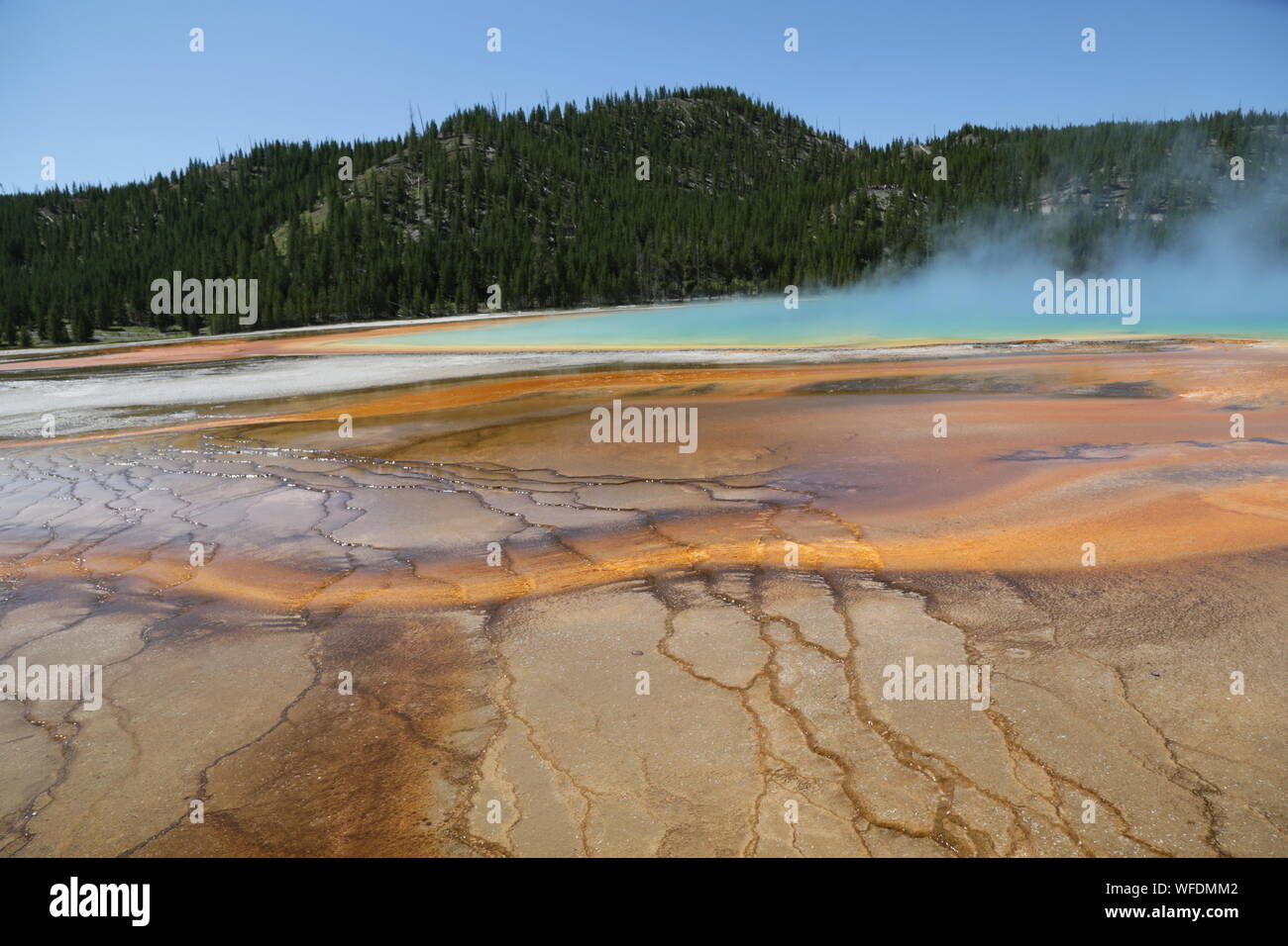 in USA inside the yellowstone national park the brauty of amazing ...