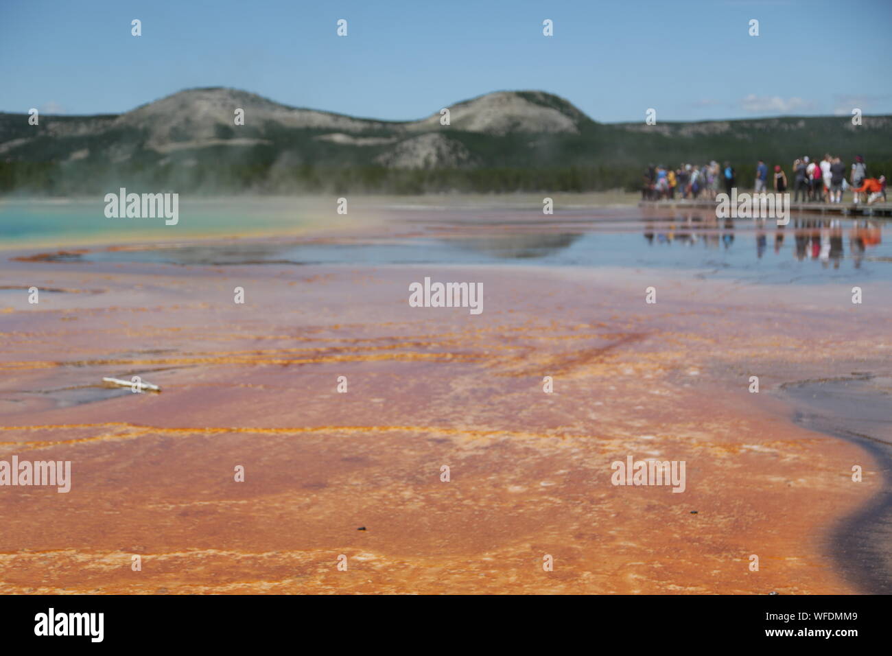 in USA inside the yellowstone national park the brauty of amazing ...