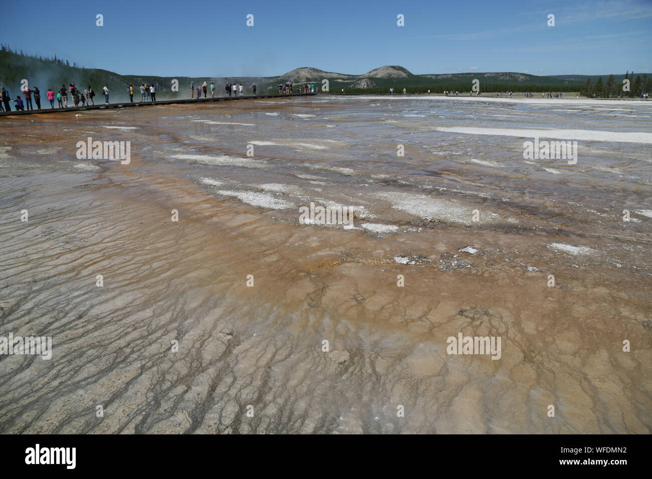 in USA inside the yellowstone national park the brauty of amazing ...