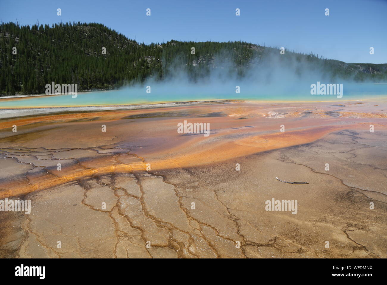 in USA inside the yellowstone national park the brauty of amazing ...
