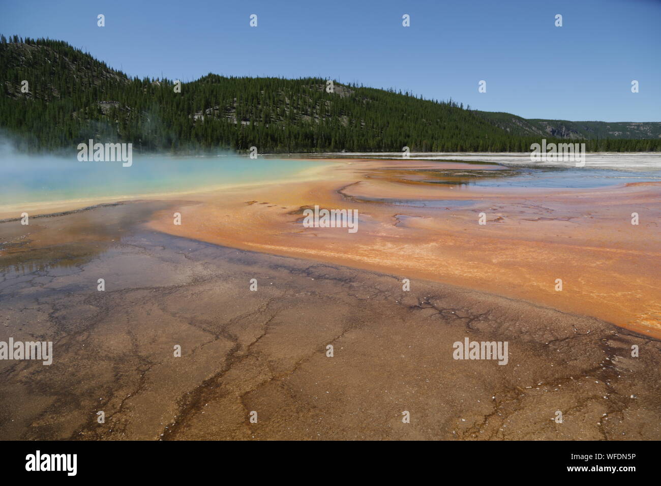 in USA inside the yellowstone national park the brauty of amazing ...