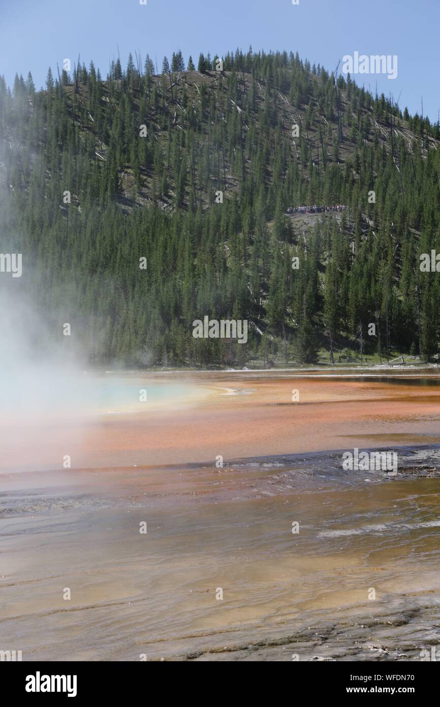 in USA inside the yellowstone national park the brauty of amazing ...
