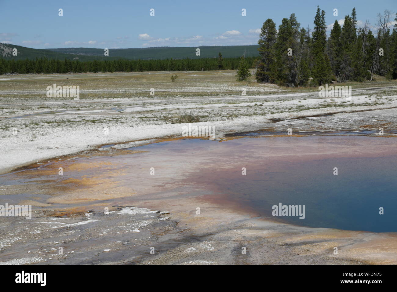 in USA inside the yellowstone national park the brauty of amazing ...