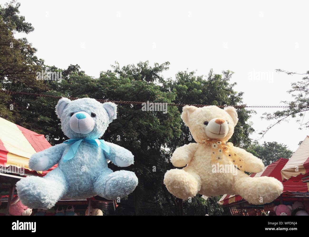 Hanging Teddy Bears High Resolution Stock Photography and Images - Alamy