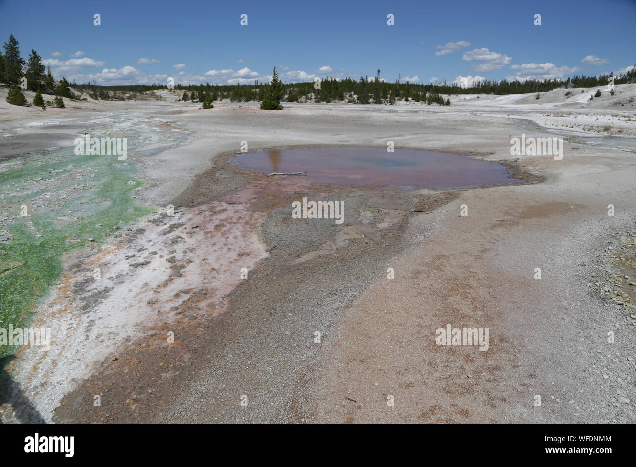 in USA inside the yellowstone national park the brauty of amazing ...