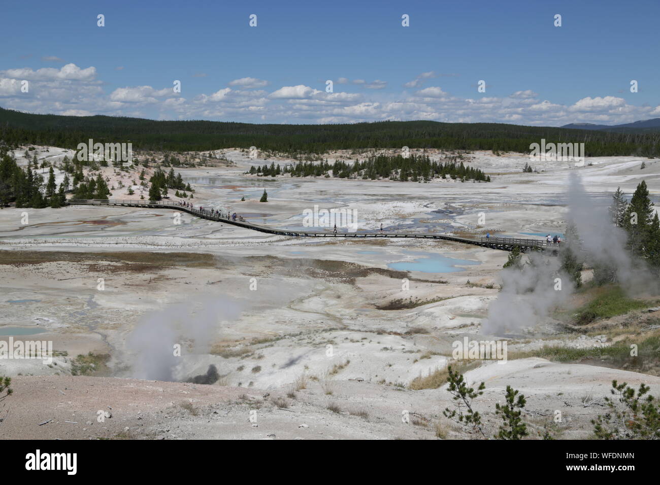 in USA inside the yellowstone national park the brauty of amazing ...