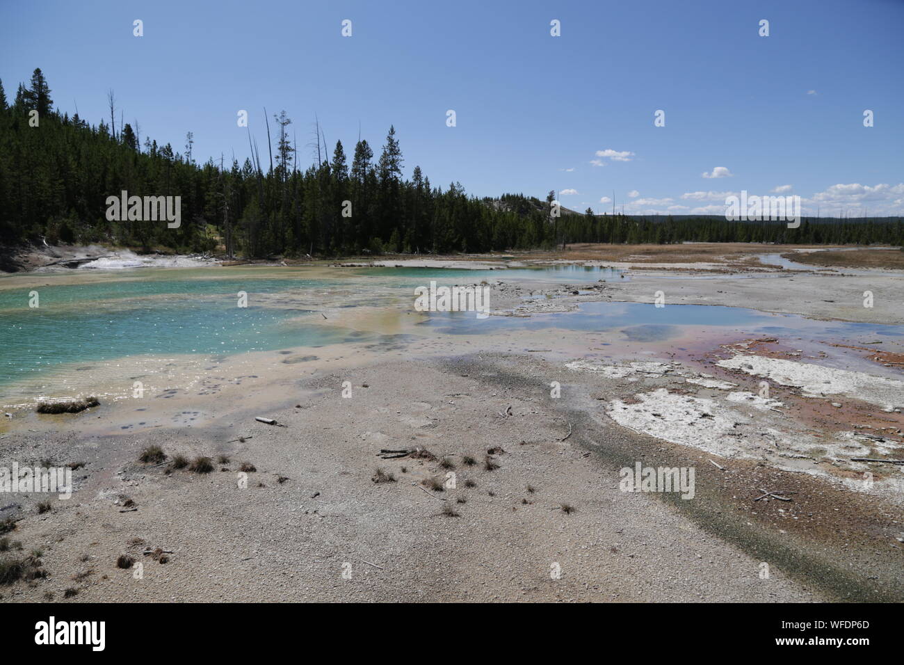 in USA inside the yellowstone national park the brauty of amazing ...