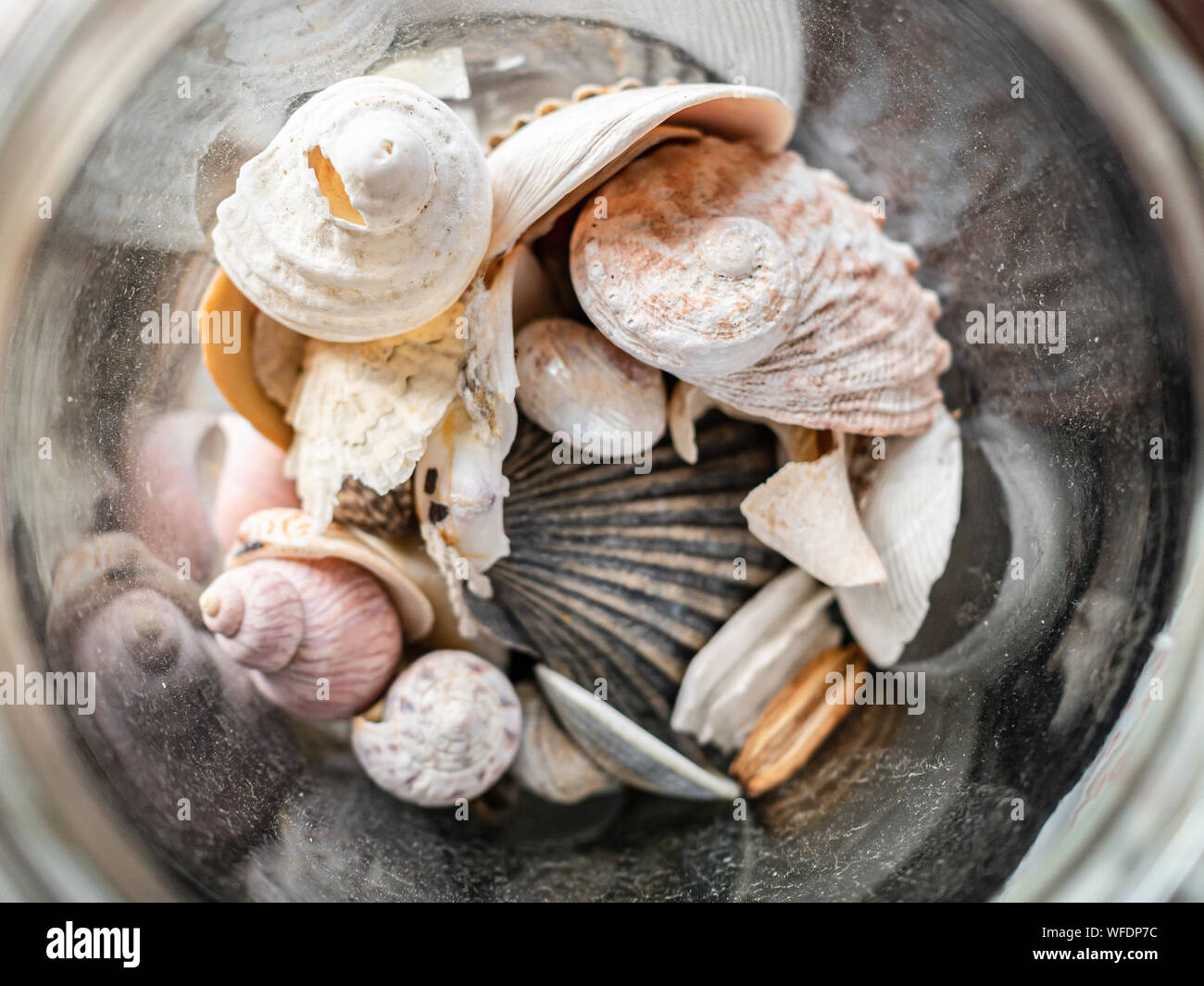 Jar of sea shells seen from above Stock Photo - Alamy