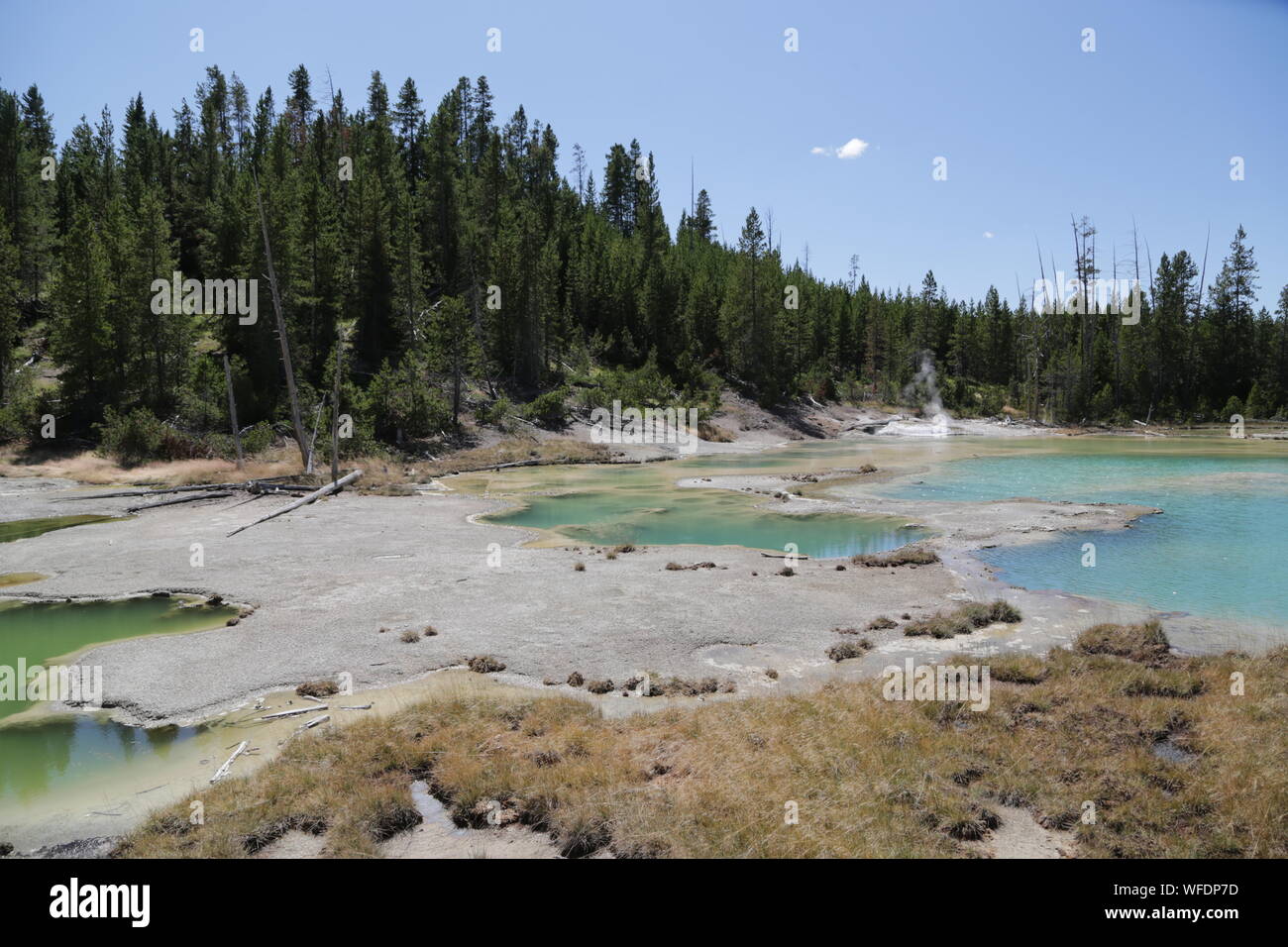 in USA inside the yellowstone national park the brauty of amazing ...