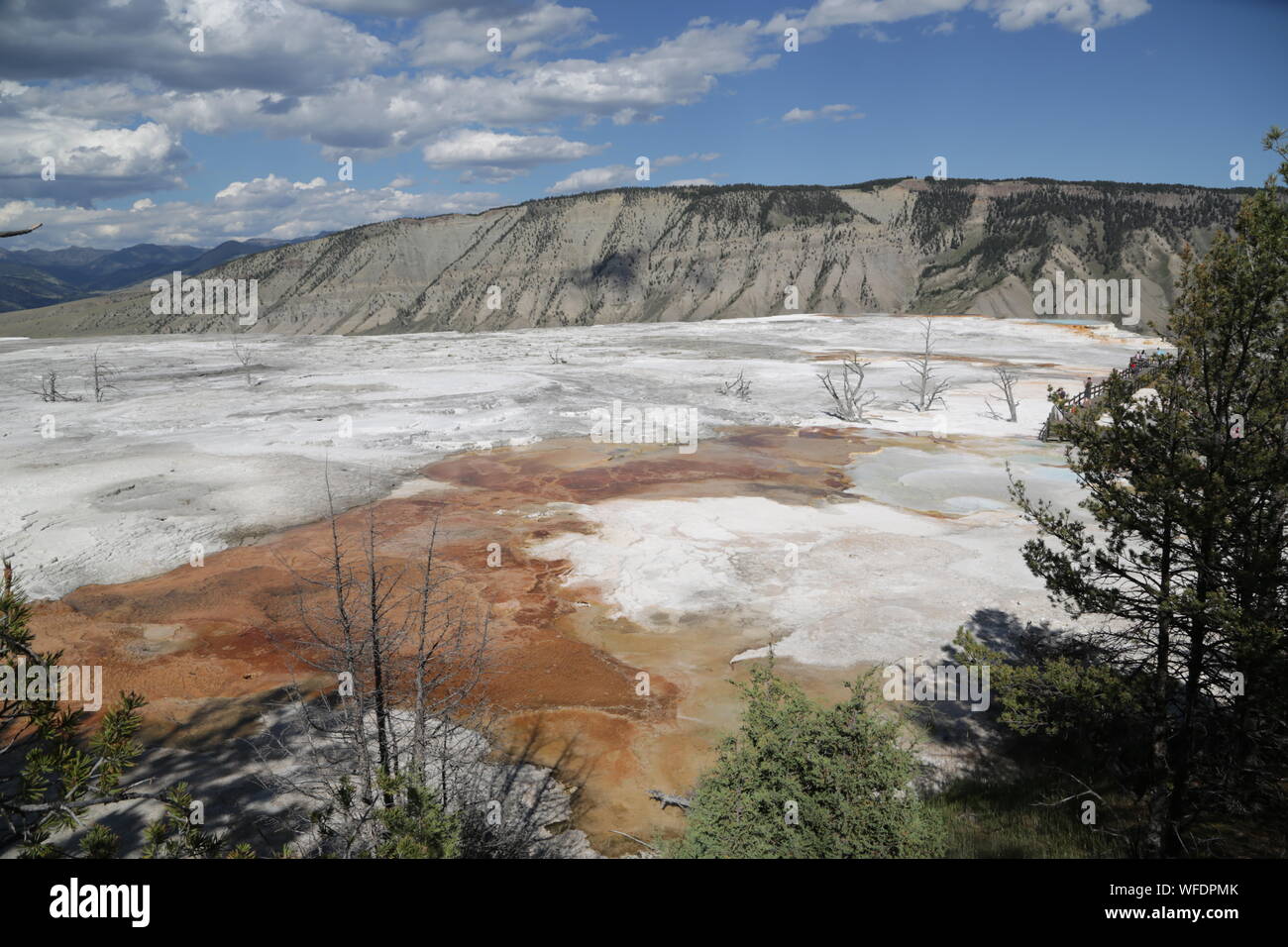 in USA inside the yellowstone national park the brauty of amazing ...