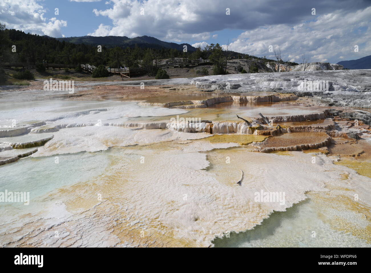 in USA inside the yellowstone national park the brauty of amazing ...