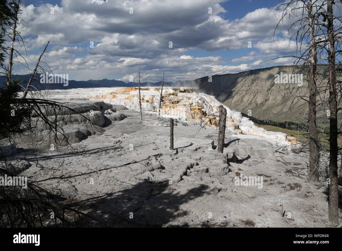 in USA inside the yellowstone national park the brauty of amazing ...