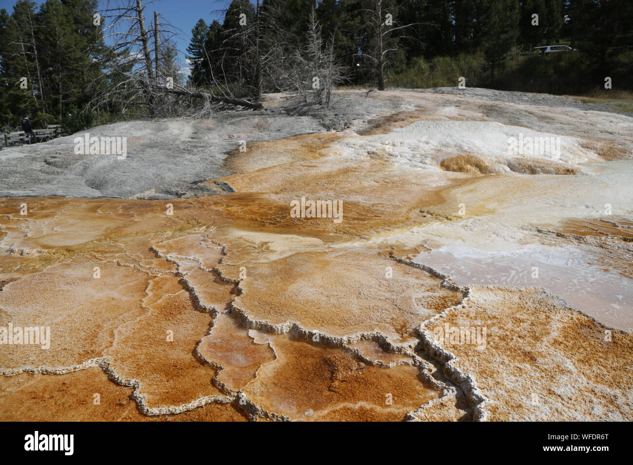 in USA inside the yellowstone national park the brauty of amazing ...