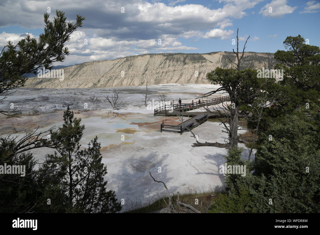 in USA inside the yellowstone national park the brauty of amazing ...