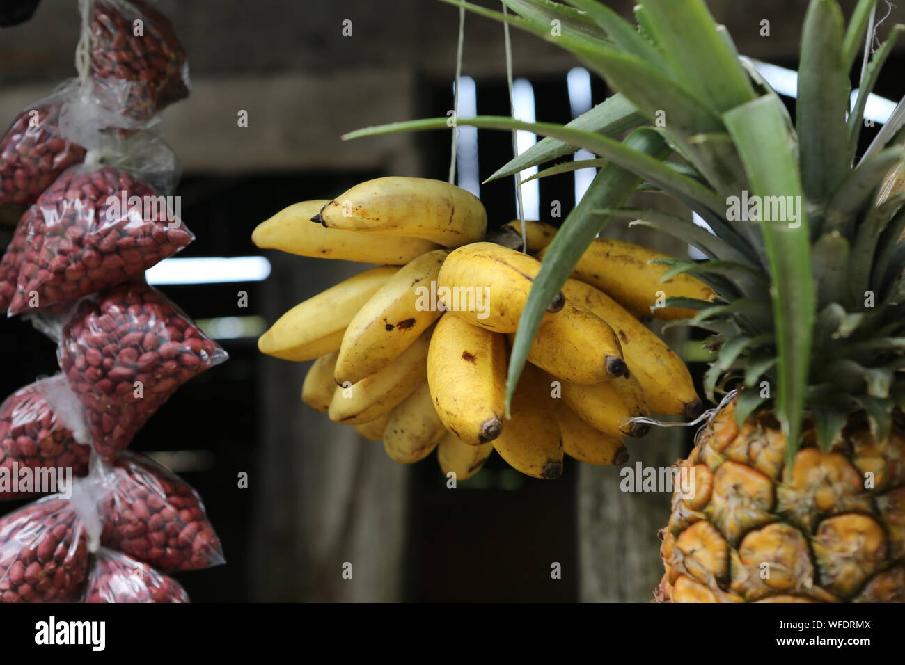 Hanging beans hi-res stock photography and images - Alamy