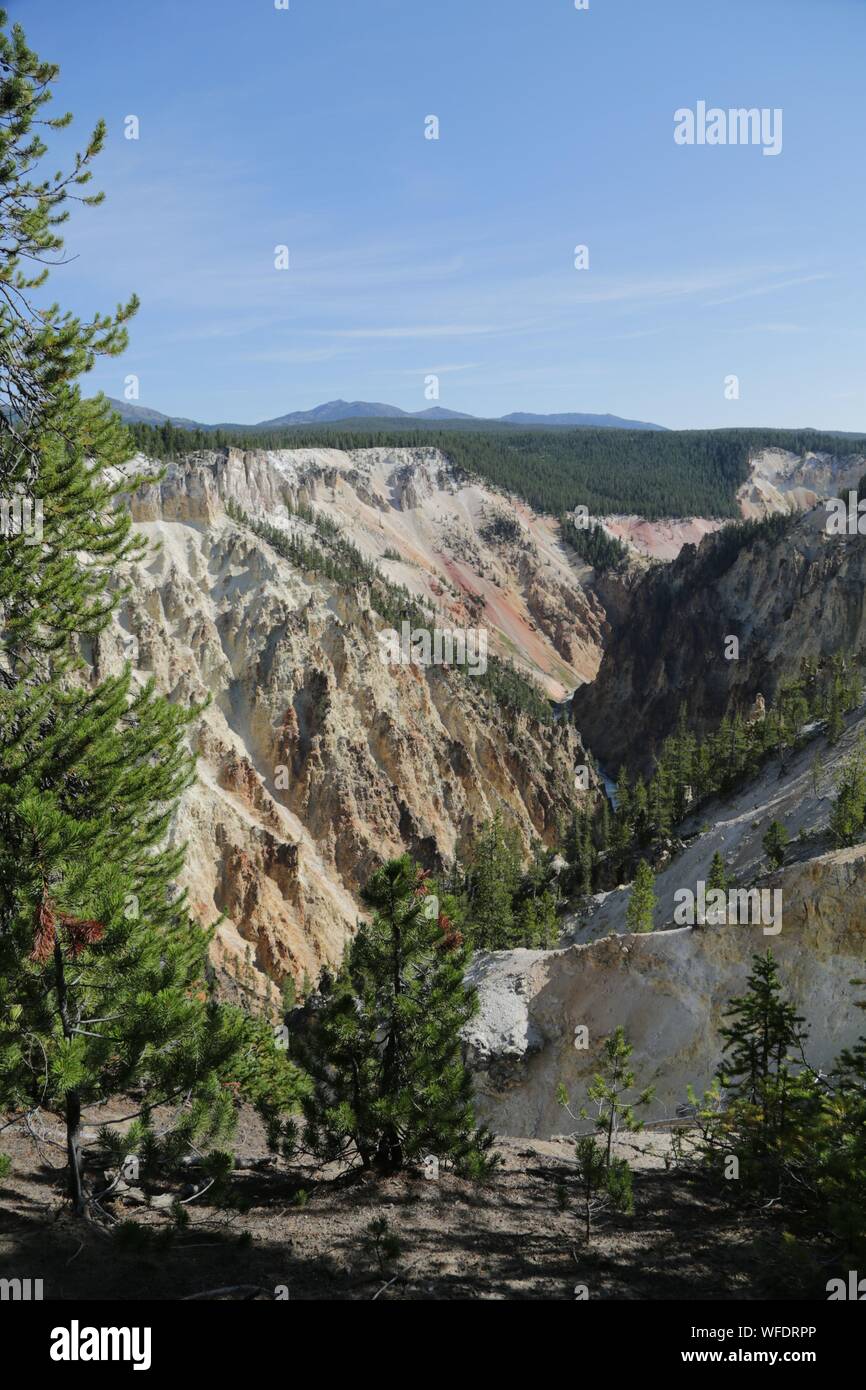 in USA inside the yellowstone national park the brauty of amazing ...
