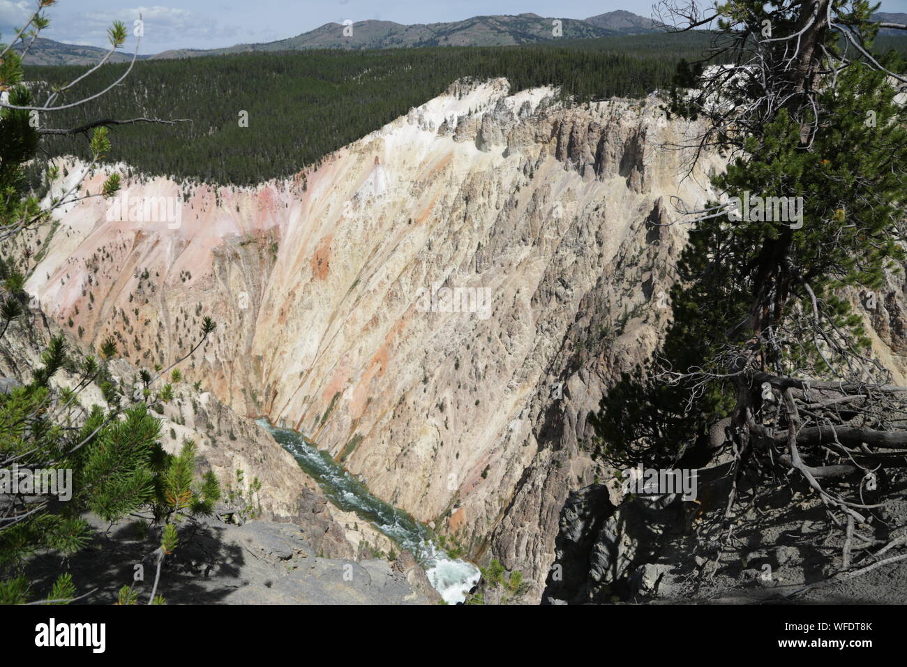 in USA inside the yellowstone national park the brauty of amazing ...