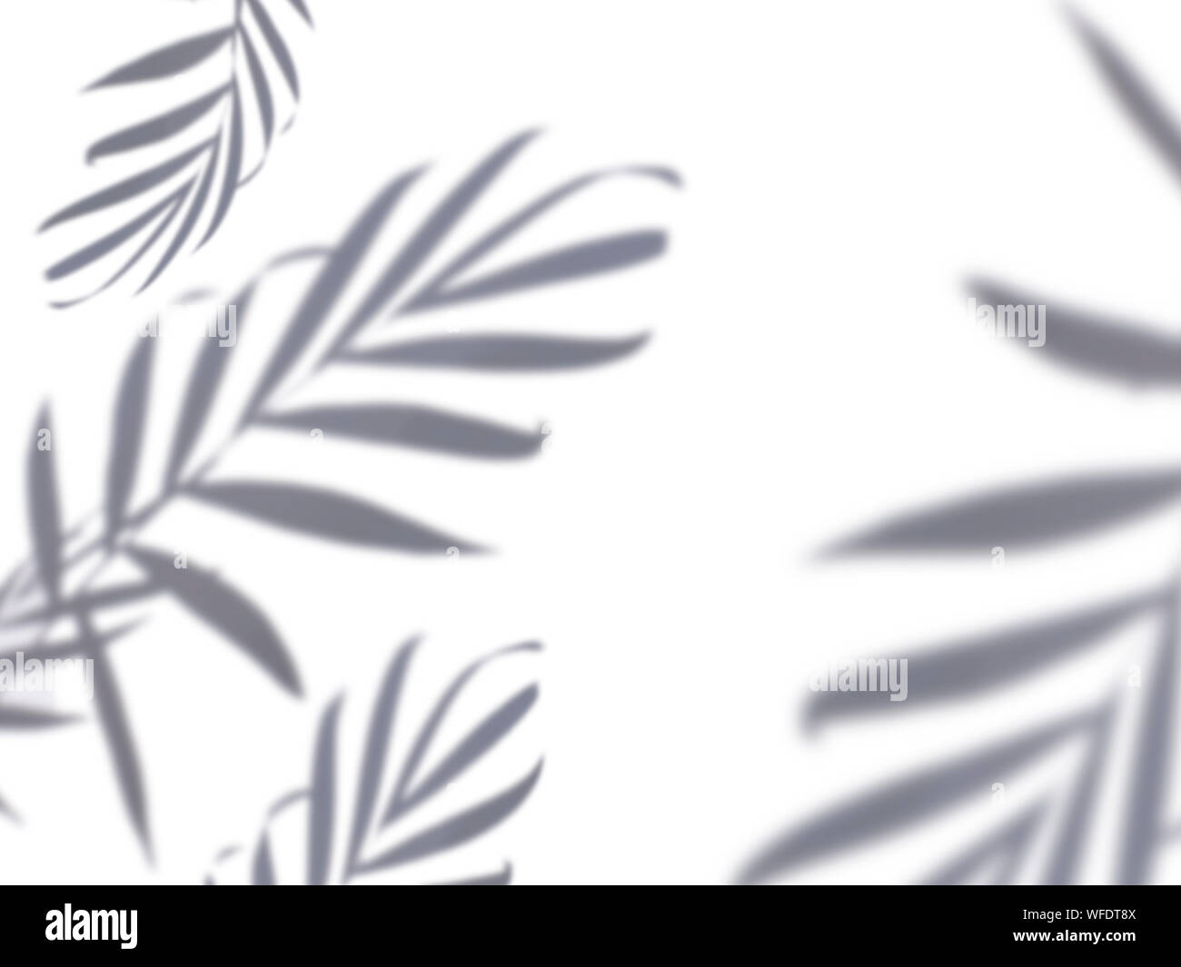 Smooth shadows Cut Out Stock Images & Pictures - Alamy