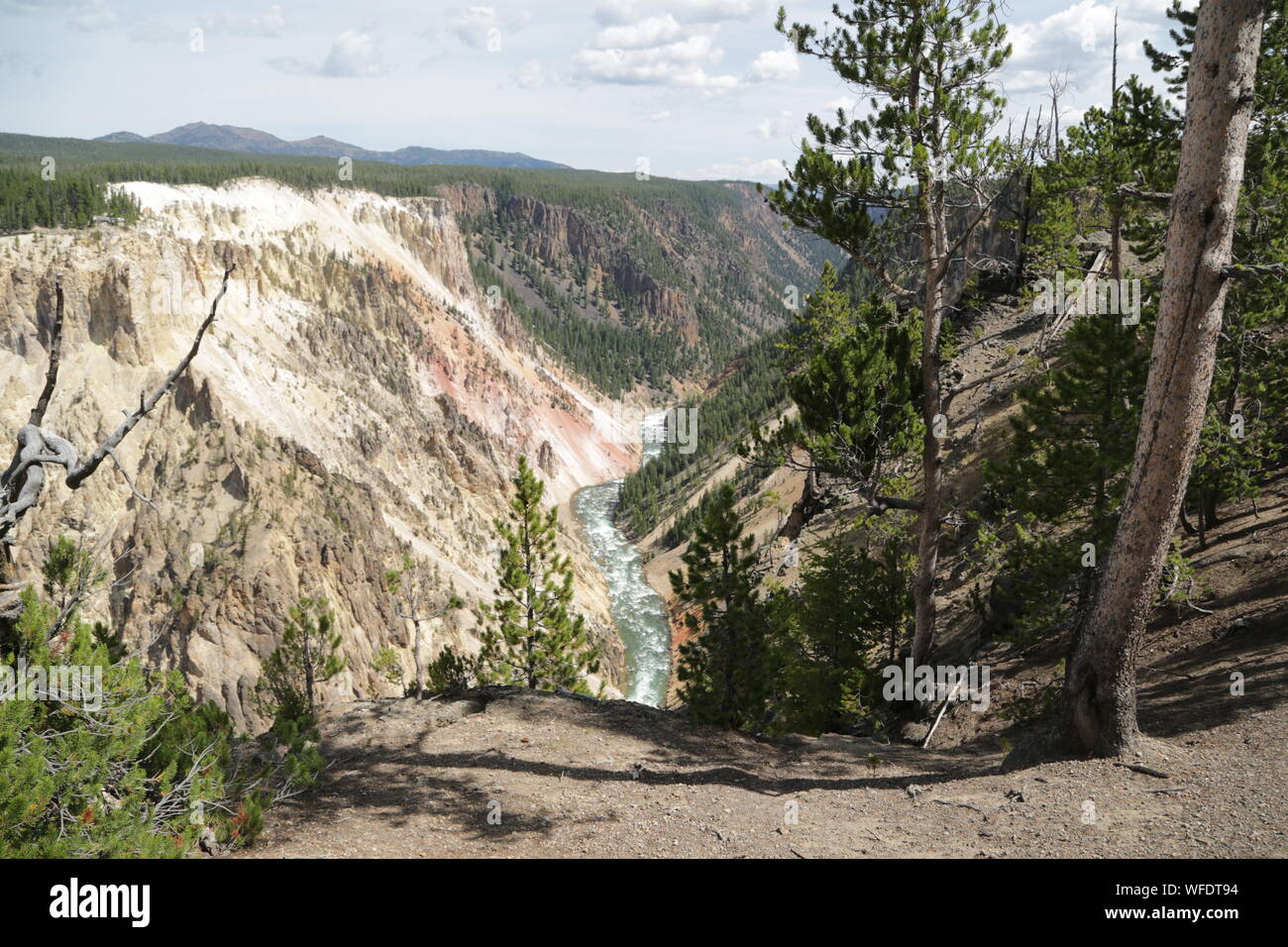 in USA inside the yellowstone national park the brauty of amazing ...