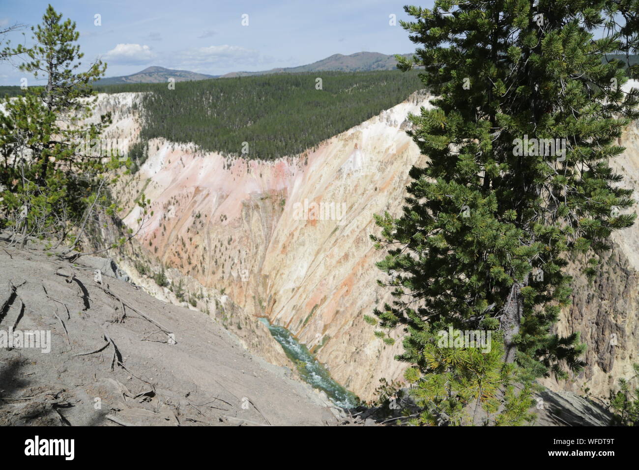 in USA inside the yellowstone national park the brauty of amazing ...