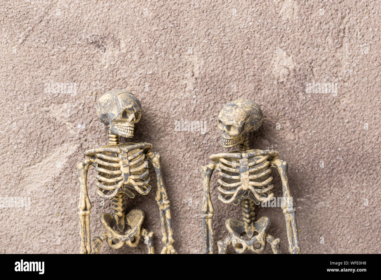 Halloween festive background with skeleton Stock Photo - Alamy